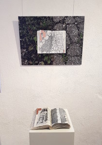 Ausstellung | Ines Seidel